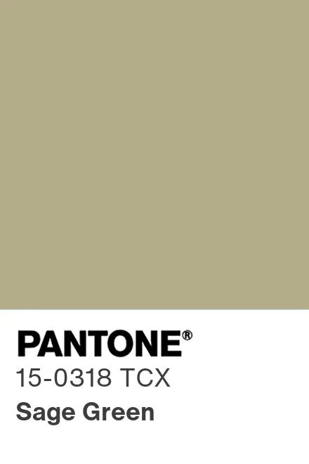 Pantone® Usa Fashion Color Trend Report New York Fashion Week Spring