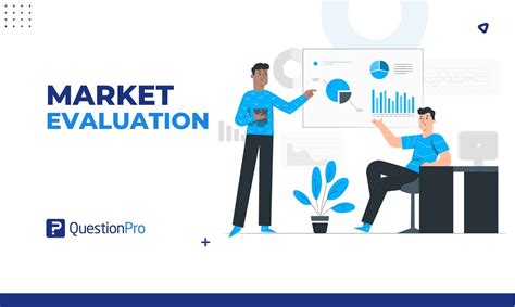 Market Evaluation