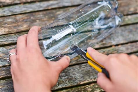 How A Little Bit Of Sugar Can Work In A Smart Diy Wasp Trap Wasp