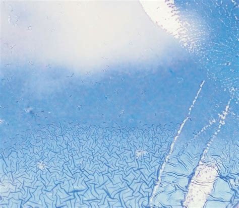 Daily Inspiration Meet Daniel Dewitt Voyage Atl Magazine Atl City Guide