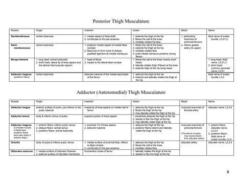 Muscle Attachment Table Compartment Wise Ppt
