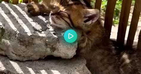 Sleepy Album On Imgur Sleepy Album On Imgur