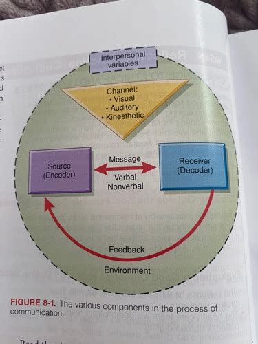 Exam 2 Flashcards Quizlet Exam 2 Flashcards Quizlet