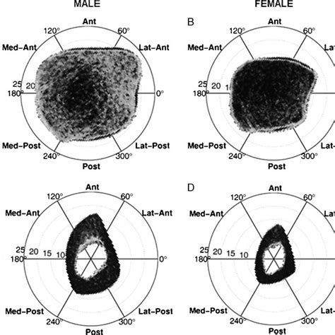 Representative Male A And C Left And Female B And D Right Tibial