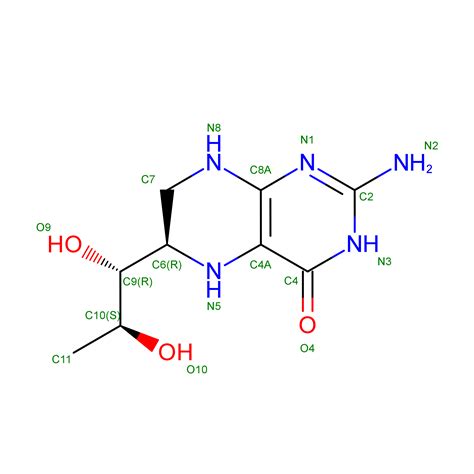 Rcsb Pdb 8xzn Crystal Structure Of Fole Riboswitch With Bh4