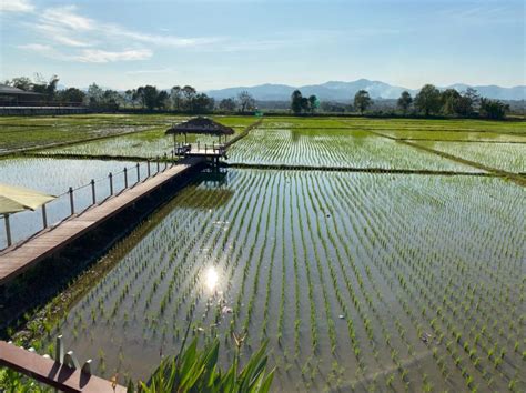 Reshma Menon On Linkedin Healthforall Hungerfornone Team Partnerships Bayer Vegetables…