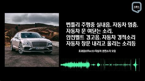 자동차 주행중 실내소음 자동차 멈추는 소리 자동차 문여닫는소리 안전벨트 경고음 자동차 창문 내리고 올리는 소리 자동차 경적소리 자동차 좌에서 우로 지나가는 효과음