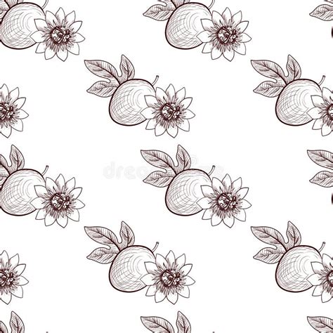 Vector Drawing Seamless Pattern With Passion Fruit And Flower Stock Illustration Illustration