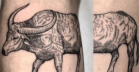 Great White Buffalo Tattoos Top 18 Tattoo Cover Up Before And Afters