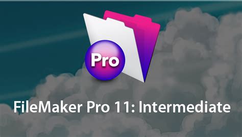 FileMaker Pro Beginner Intermediate Advanced Bundle
