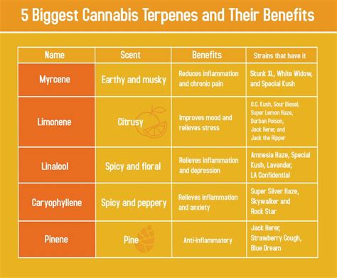 Terpenes Chart