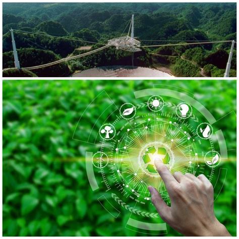 St By Ecological Networking Rmetrosongs