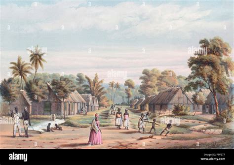 Slaves Plantation Stockfotos Und Bilder Kaufen Alamy