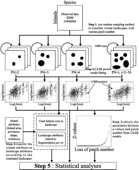 The Conceptual Diagram Indicating The Main Process Of Model Simulation