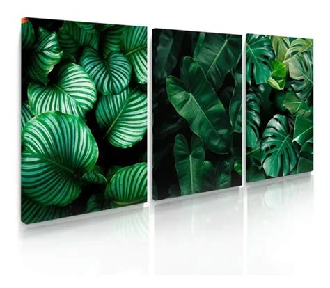 Quadros Decorativos Floral Verde Armazônia Sala Quarto Lindo Mercadolivre