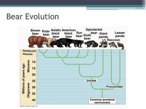 Ppt Ch 21 Warm Up Powerpoint Presentation Free Download Id8881086