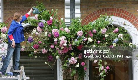 44 Geoff Mcqueen Photos And High Res Pictures Getty Images