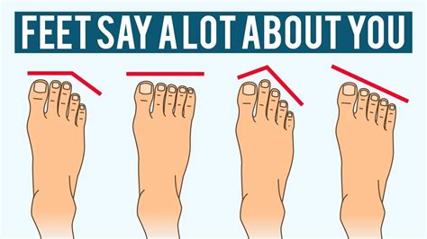 This Accurate Guide Actually Describes Toe Length Meanings Brilliantly