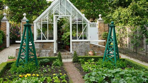 How To Make Comfrey Fertilizer A Natural Way To Boost Plants Homes