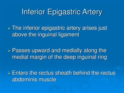 Ppt Abdominal Aorta And Inferior Vena Cava Powerpoint Presentation Free Download Id 2968683