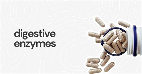 6 Best Supplements For Better Digestion Trumeta