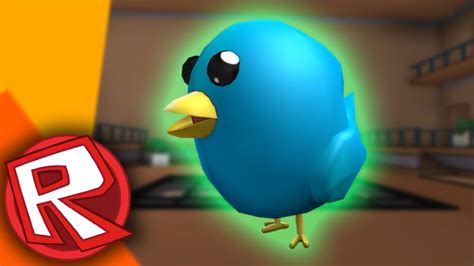 Roblox Birds