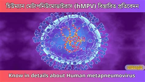 হিউম্যান মেটাপনিউমোভাইরাস Hmpv Details About Hmpv