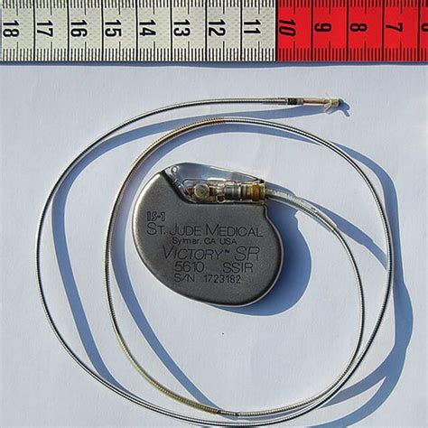 A Pacemaker Fruitsmaak Download Scientific Diagram