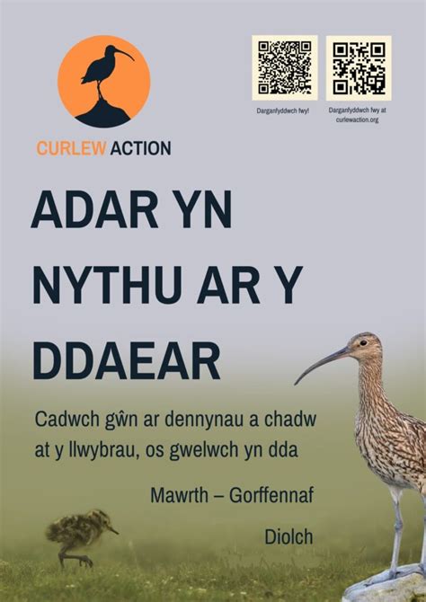 Ground Nesting Bird Signs Curlew Action
