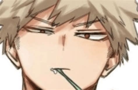 Bakugou Katsuki` Doppleai
