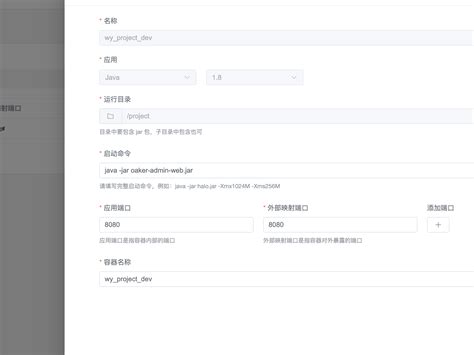 Java运行环境启动失败： 5，来自 User Swjlixjvsz3 1panel 社区论坛 Fit2cloud 飞致云