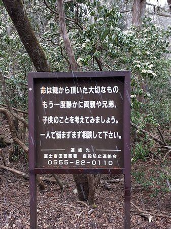 Aokigahara Forest Fujikawaguchiko Machi 2021 All You Need To Know Before You Go With Photos