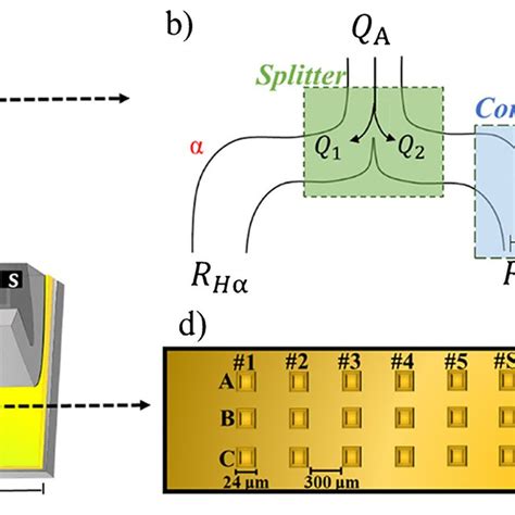 Microfluidic Gradient Generator Device 2x5 Y The Dashed Rectangle