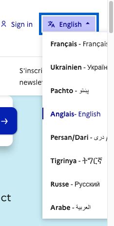 ToolTranslate Broken Responsive Behaviour Issue 315 Dataesr React Dsfr GitHub