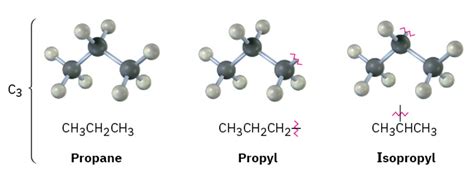 33 Alkyl Groups Chemistry Libretexts