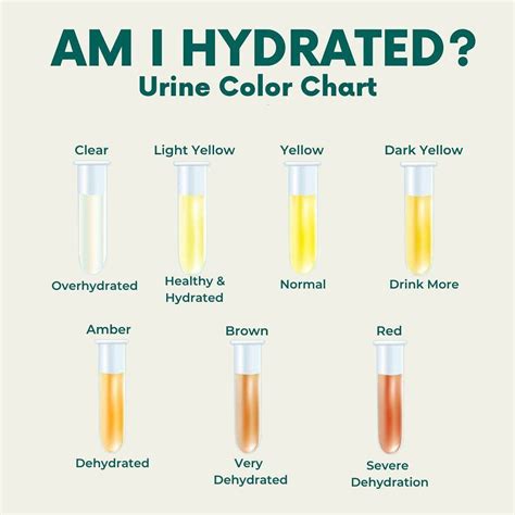 Stay Hydrated With This Urine Color Chart Yellow Urine Meaning Yellowish Urine Meaning Color