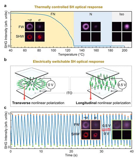Nonlinear Geometric Phase Coded Ferroelectric Nematic Fluids For Nonlinear Soft Matter Photonics