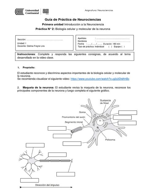 Guia Práctica N 2 Biologia Celular Y Molecular Pdf Química Bioquímica