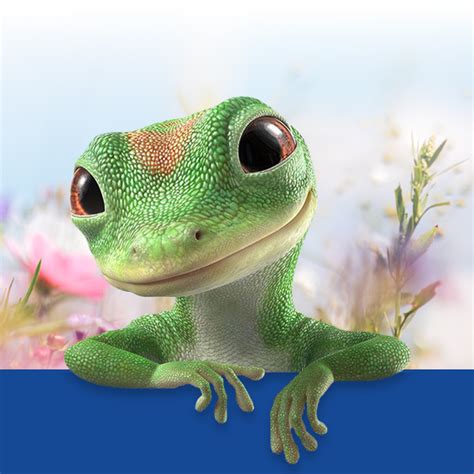 Geico