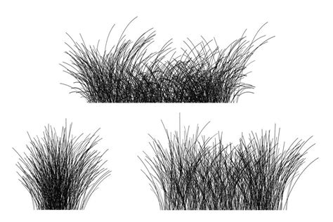 Dry Grass Vector Art Icons And Graphics For Free Download