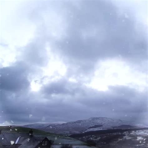 Sally Cornforth Posted On Linkedin