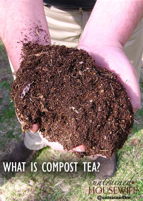 What Is Compost Tea