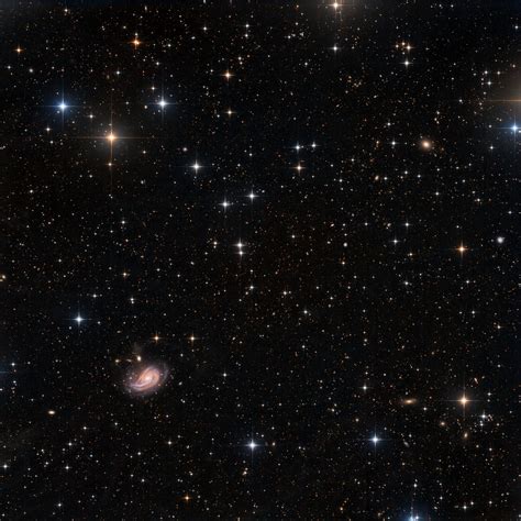 Ngc 772 Bart Delsaert Astrophotography