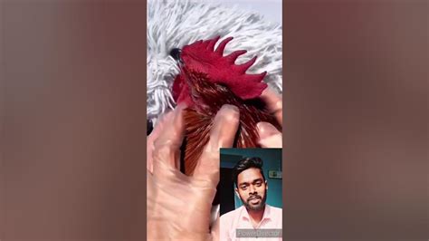 Didi Ka Careshortscomedyviral Youtube