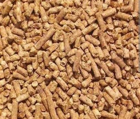 Starter Poultry Feed 50 At Rs 2800kg In Imphal Id 27106496562