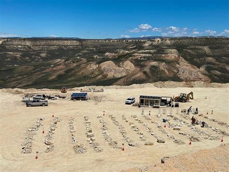1 Place To Go Dig Fossils Review Of Fossil Lake Safari By Fossilera