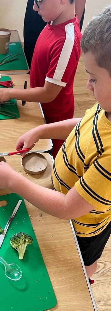 Haf Programme Saints Southwest