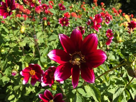 Gedenkseite Für Wolfgang Schlarb Das Bestattungshaus Schulte