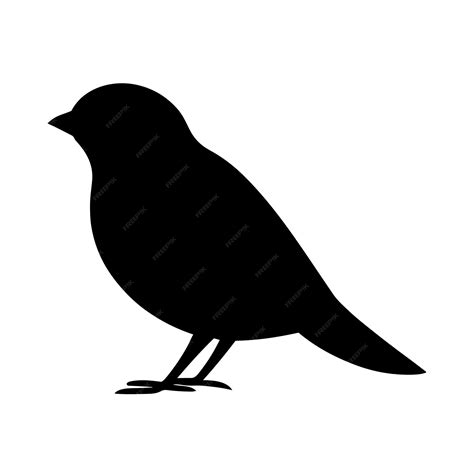 Diseño De Silueta De Pájaro Sobre Fondo Blanco Vector Vector Premium