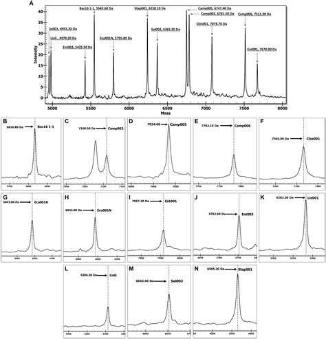 Frontiers Massarray A High Throughput Solution For Rapid Detection